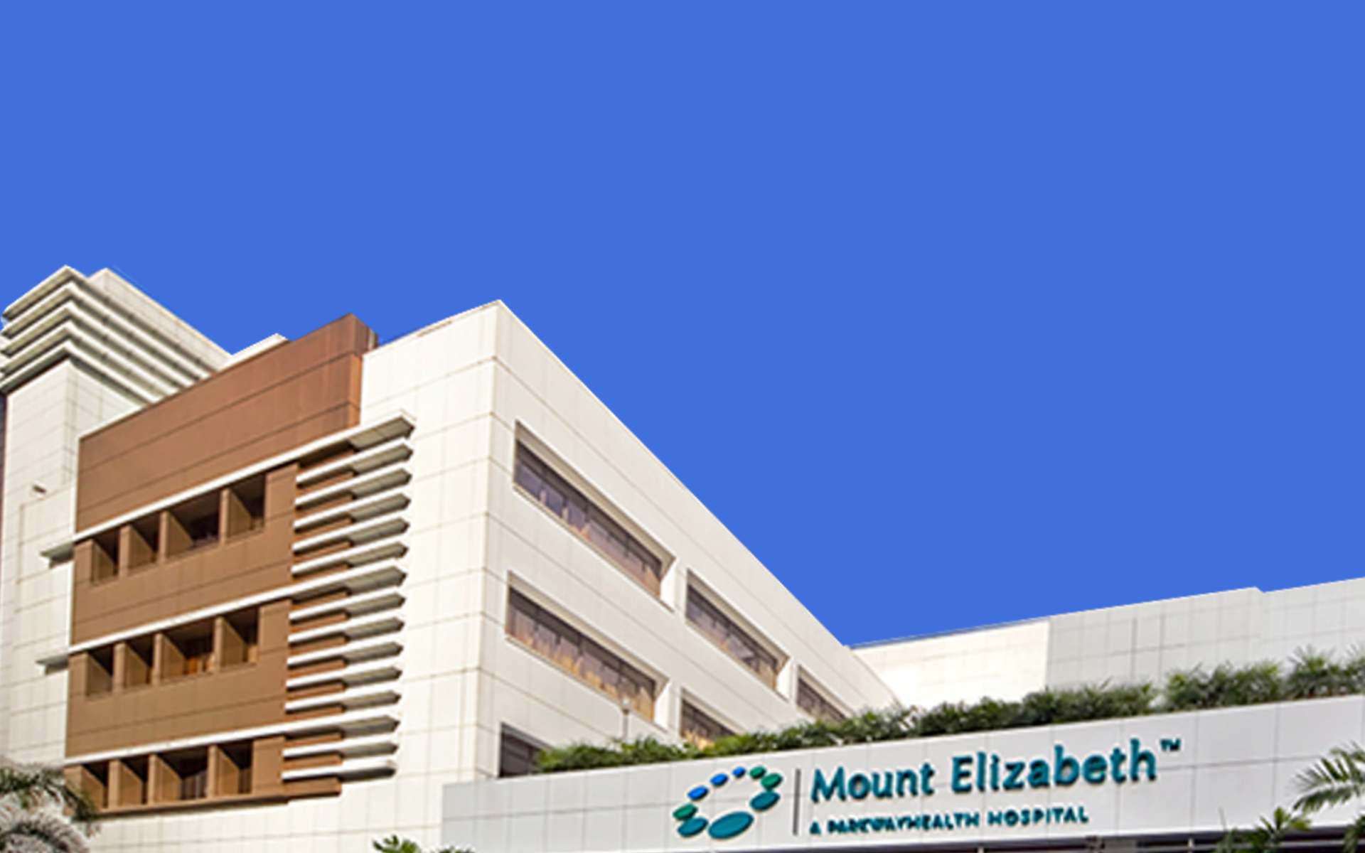 Aroma Indonesia di Mount Elizabeth | Korporatisasi
